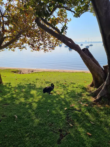 Best Hikes and Trails in Matilda Bay Reserve | AllTrails