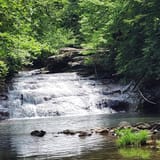 Kinlock Falls, Alabama - 240 Reviews, Map | AllTrails
