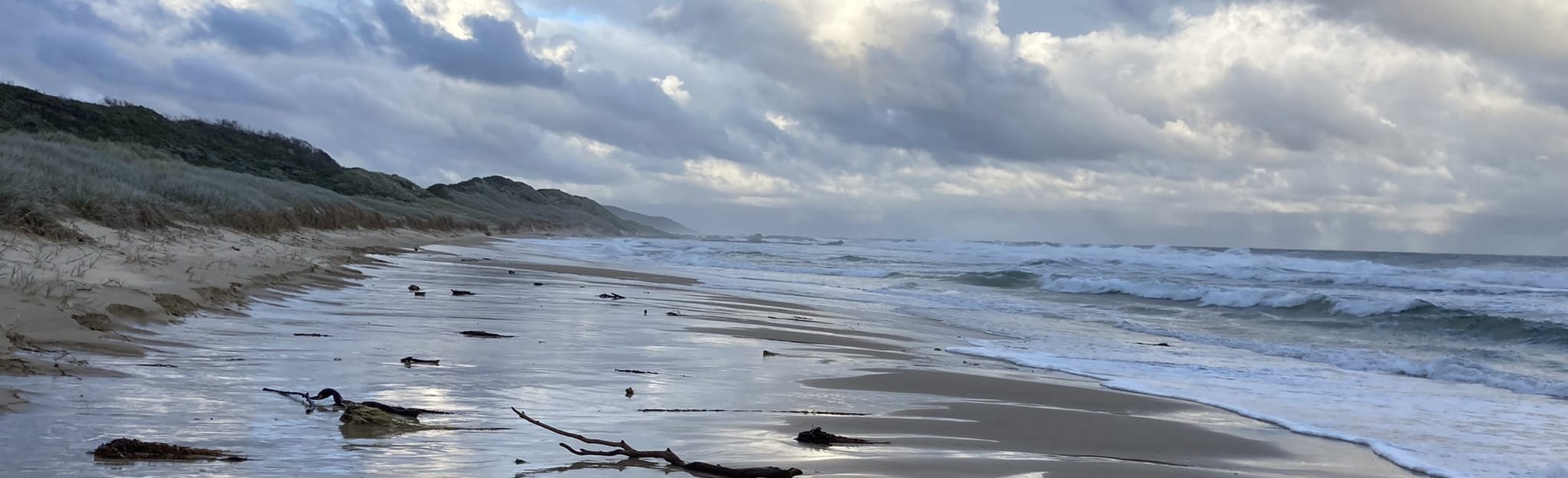 Wilderness Coast Walk: Thurra River - Wingan Inlet: 20 Fotos - Victoria ...