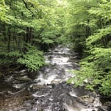 Tremont Logging History Auto Tour, Tennessee - 162 Reviews, Map | AllTrails