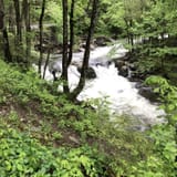 Tremont Logging History Auto Tour, Tennessee - 162 Reviews, Map | AllTrails