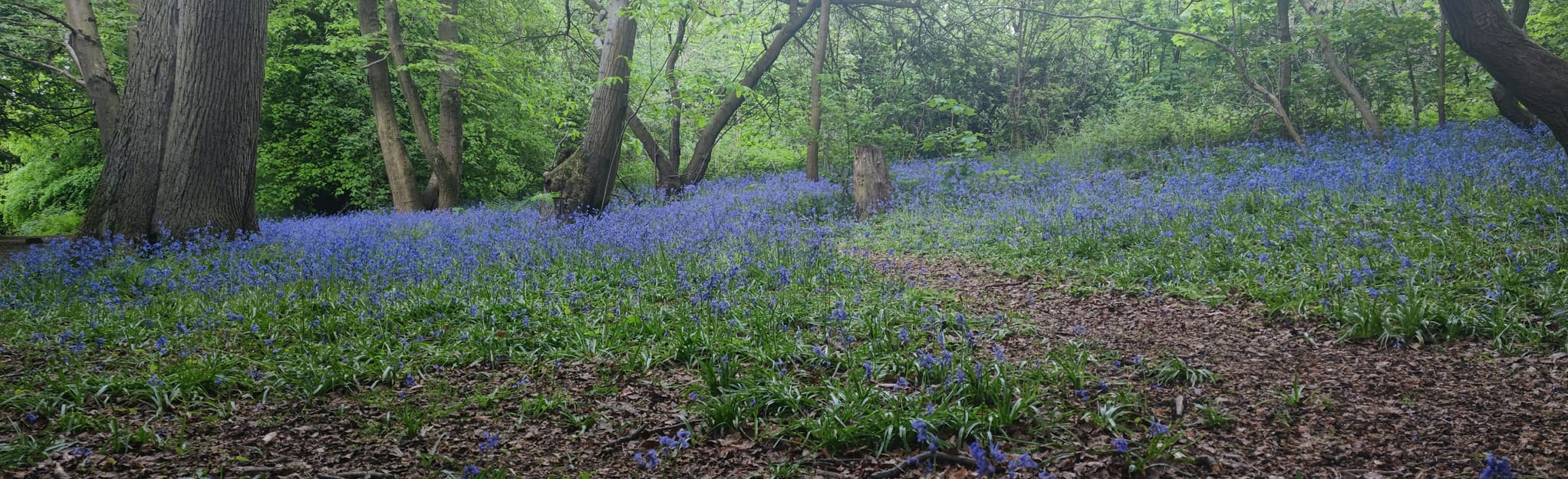 Northycote Farm Circular, West Midlands, England - 58 Reviews, Map ...