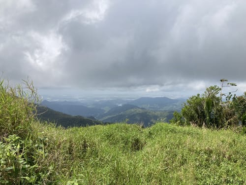 2023 Best Trails near Cerro de Punta | AllTrails