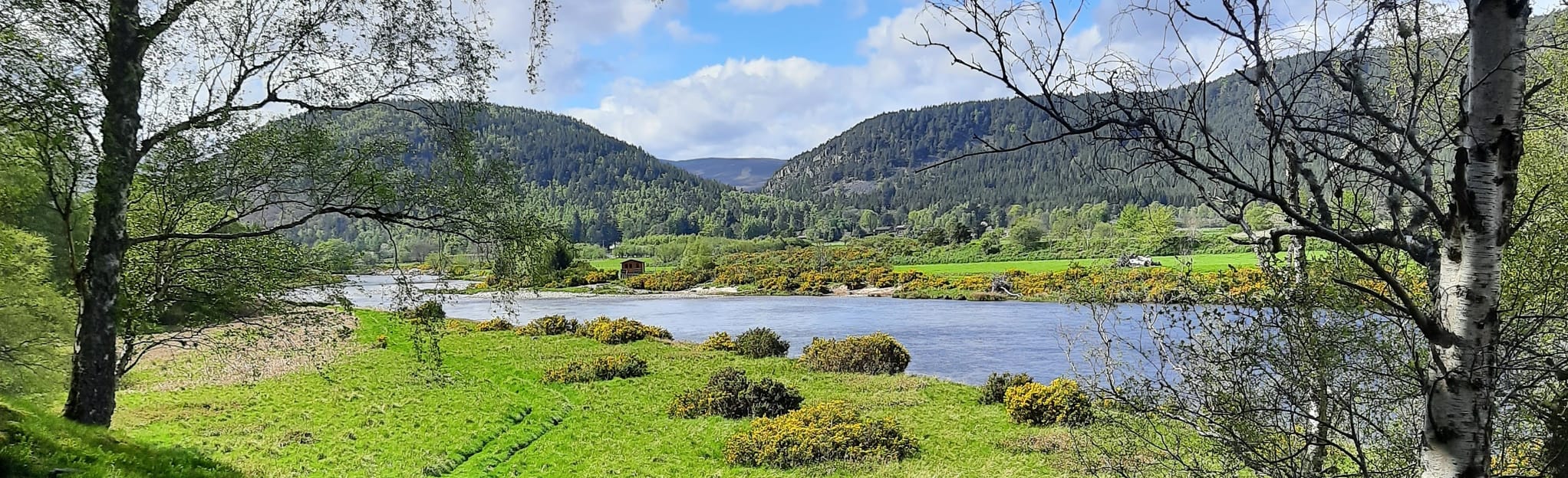 Ballater to Cambus o'May Circular, 105 Fotos - Aberdeenshire, Scotland ...