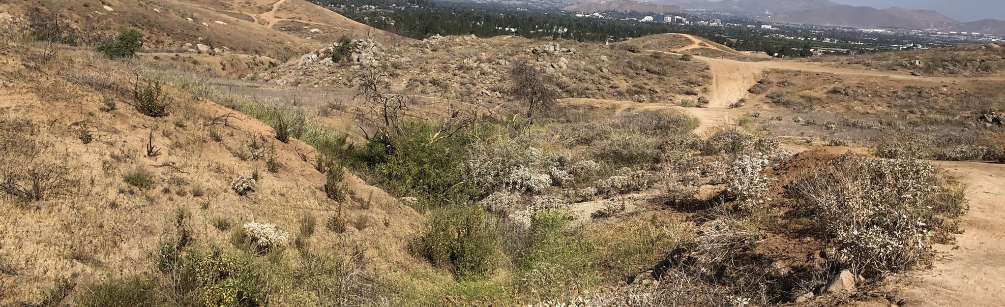 Sycamore Canyon Extended Trail - California | AllTrails