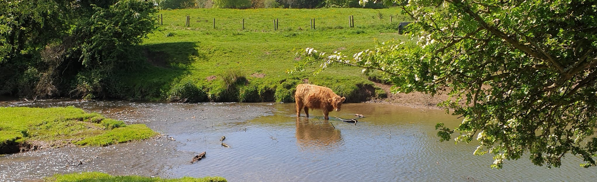Thirsk and Sowerby Circular, North Yorkshire, England - 114 Reviews ...
