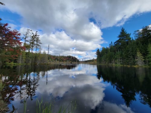 2023 Best Camping Trails in Five Ponds Wilderness | AllTrails