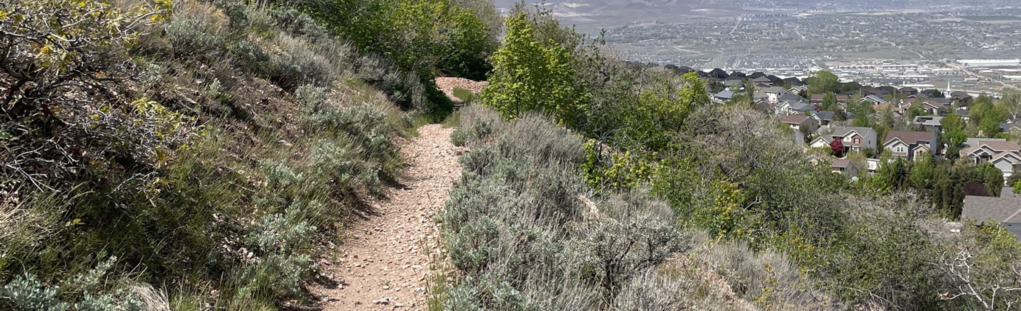 Steep Mountain via Widowmaker and Bonneville Shoreline Trail Loop: 46 ...