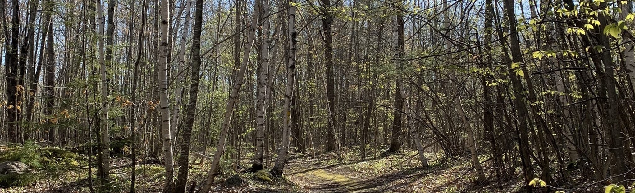 Bond Mountain [PRIVATE PROPERTY]: 29 Reviews, Map - Maine | AllTrails