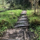 Irely Lake Trail, Washington - 125 Reviews, Map | AllTrails