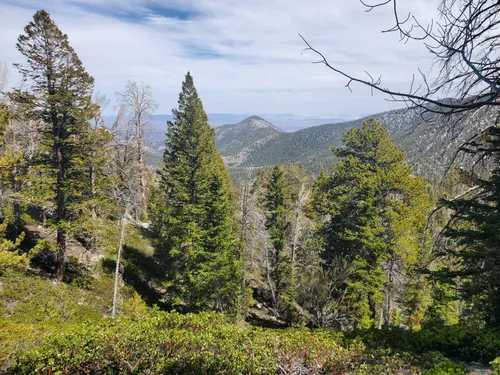 10 Best Hard Trails in Great Basin National Park | AllTrails