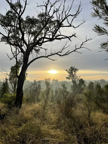 Best Walking Trails in Beeliar Regional Park | AllTrails