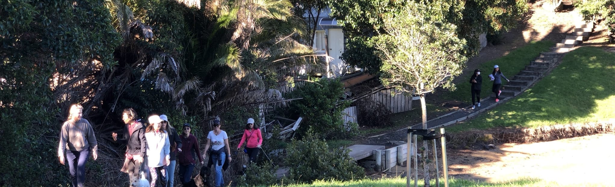 Greenhithe Harbour Loop: 18 Reviews, Map - Auckland, New Zealand ...