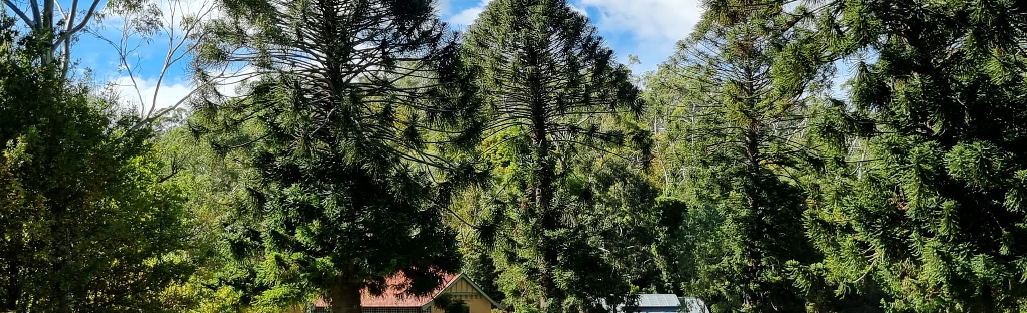 Warri Parri Ridge Track and Melville Track: 21 Reviews, Map - South ...