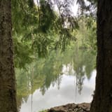 Colliery Dam Loop, British Columbia, Canada - 314 Reviews, Map | AllTrails