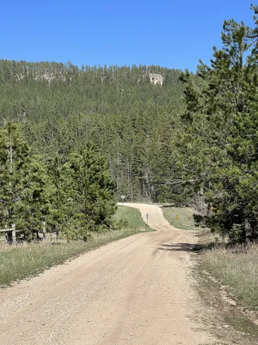 Best Horseback Riding Trails in Nemo | AllTrails