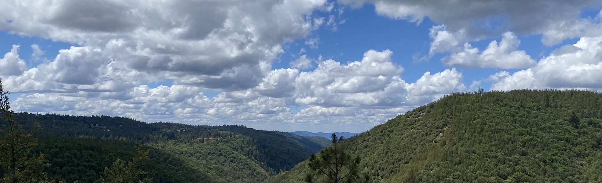 Arnold Rim Trail: San Domingo Section - California | AllTrails