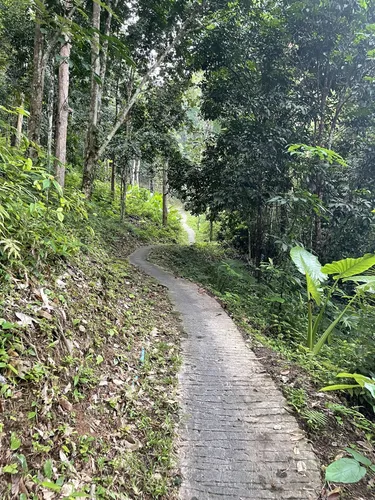10 Best Trails and Hikes in Phuket | AllTrails