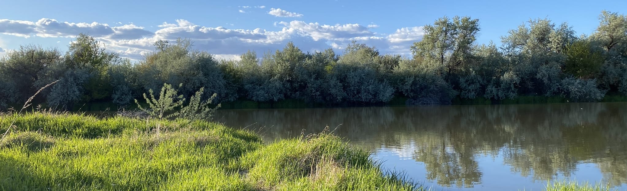 Chamna Natural Preserve Trail: 157 foto's - Washington | AllTrails