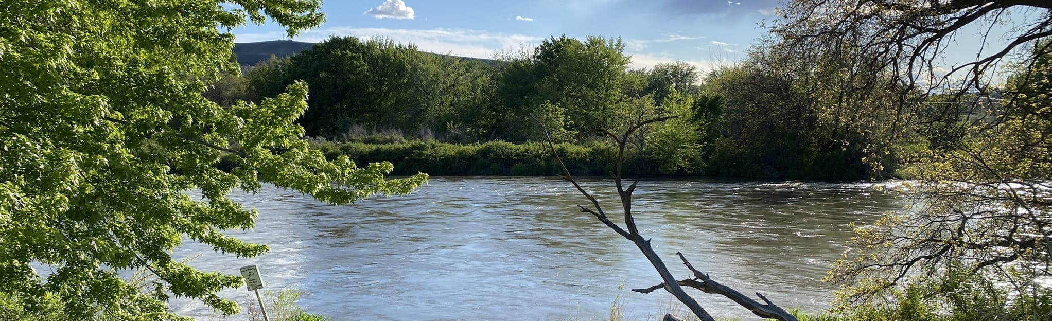 Chamna, Red Tail and River Trail Loop: 75 Reviews, Map - Washington ...