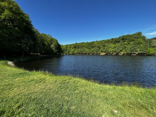 2023 Best Moderate Trails in Forêt domaniale de Saint-Sever | AllTrails