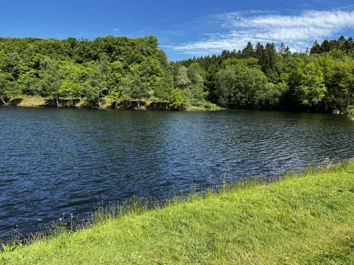 2023 Best Historic Site Trails in Forêt domaniale de Saint-Sever ...