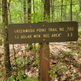 Lake Moomaw Greenwood Point Trail, Virginia - 65 Reviews, Map | AllTrails