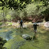 Lost Cove Loop Trail (262), North Carolina - 145 Reviews, Map | AllTrails