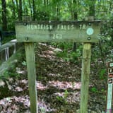 Lost Cove Loop Trail (262), North Carolina - 145 Reviews, Map | AllTrails
