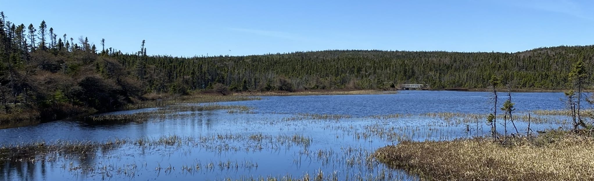 Upper Three Corner Pond Loop: 13 Reviews, Map - Newfoundland and ...