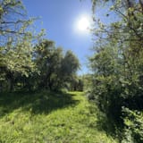 Morgan Run Natural Environmental Area Trails, Maryland - 351 Reviews ...