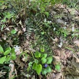 Morgan Run Natural Environmental Area Trails, Maryland - 351 Reviews ...