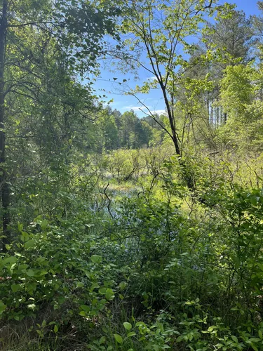 Best Hikes and Trails in Zoar State Forest | AllTrails