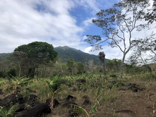 2023 Best Trails, Walks, and Paths in Santa Cruz | AllTrails