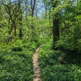 Landen Deerfield Park Bike Trail, Ohio - 408 Reviews, Map | AllTrails