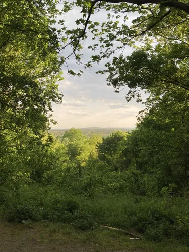 10 Best Forest Trails in Grunewald | AllTrails