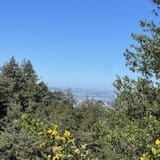 Cinderella, Sunset, Sequoia Bayview Loop Trail, California - 262 ...