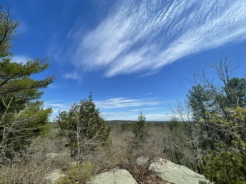 10 Best Hikes and Trails in Arcadia State Management Area | AllTrails