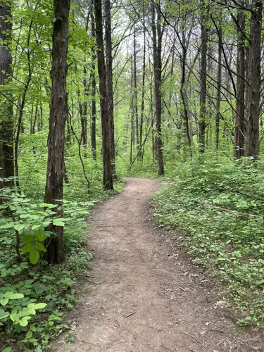 Best Hikes and Trails in Broad Run Park | AllTrails