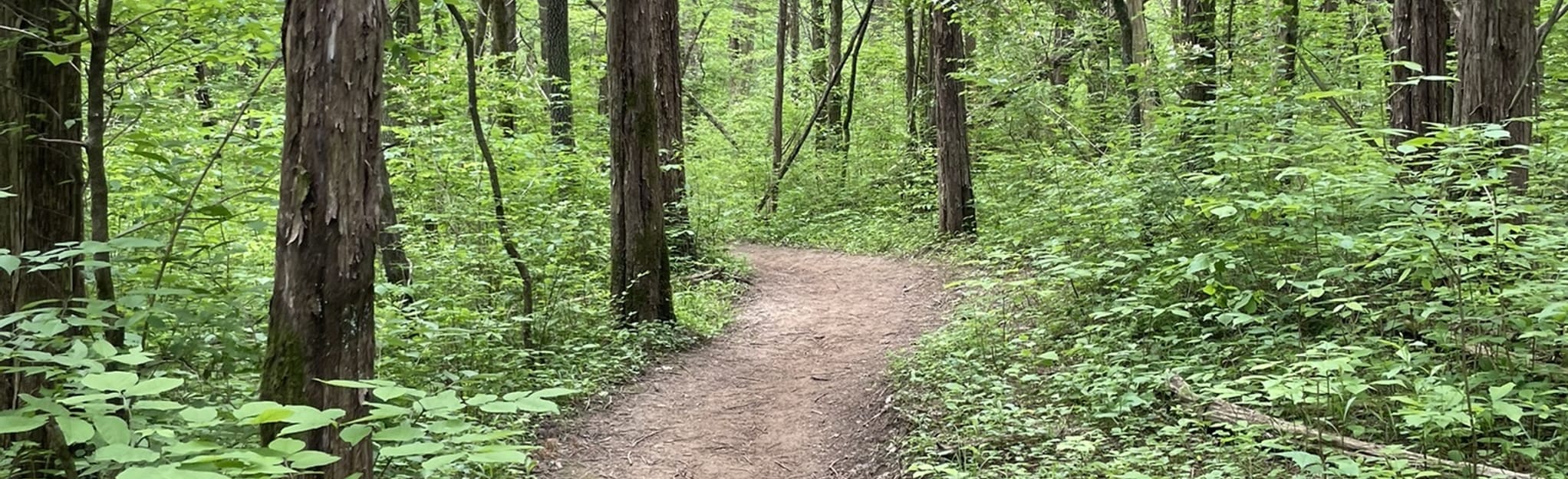 Broad Run Park Karst Trail, Kentucky - 270 Reviews, Map | AllTrails