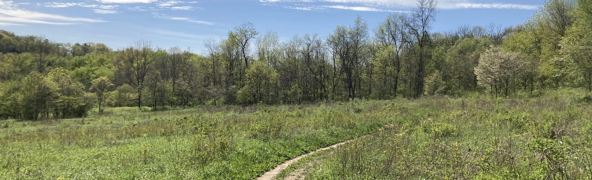 Duff Park and Pleasant Valley Park Grand Loop: 80 Reviews, Map ...