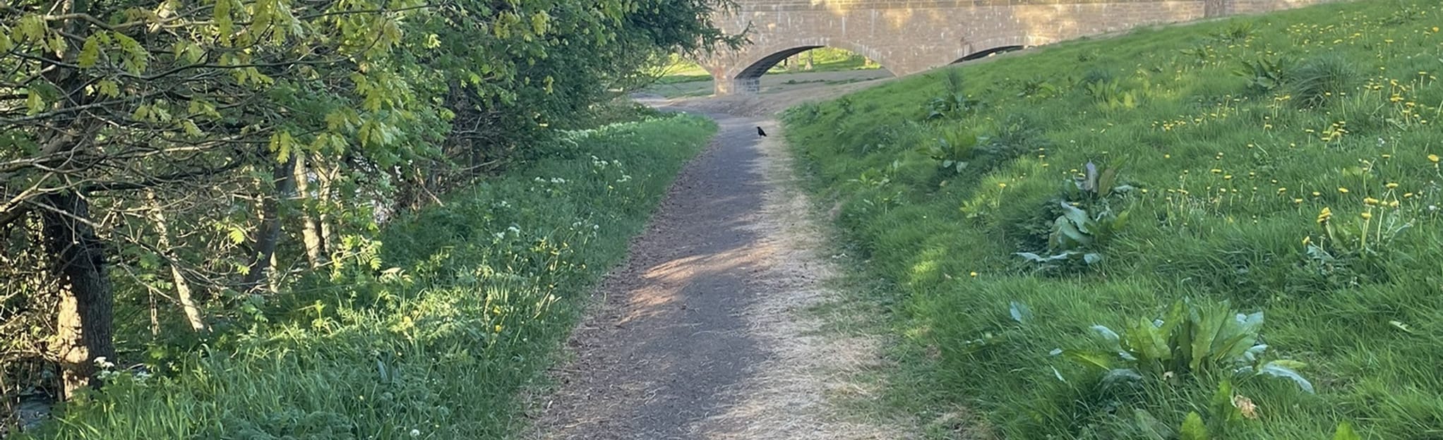 Finlathen Park Loop: 7 Reviews, Map - Dundee City, Scotland | AllTrails