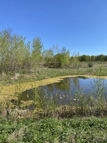 2023 Best Forest Trails in Camillus | AllTrails