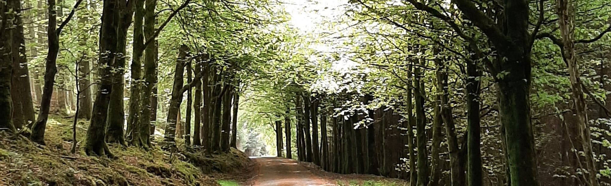 Keeper Hill Via Doonane, County Tipperary, Ireland - 111 Reviews, Map ...