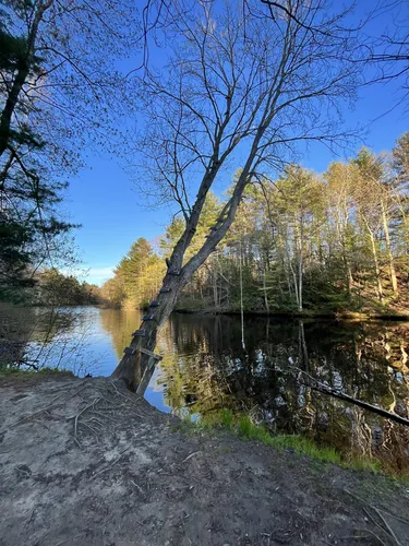 Best Hikes and Trails in Dover | AllTrails