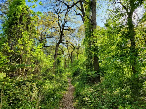 Best Hikes and Trails in Green Brook Park | AllTrails