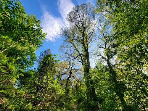 Best Hikes and Trails in Green Brook Park | AllTrails