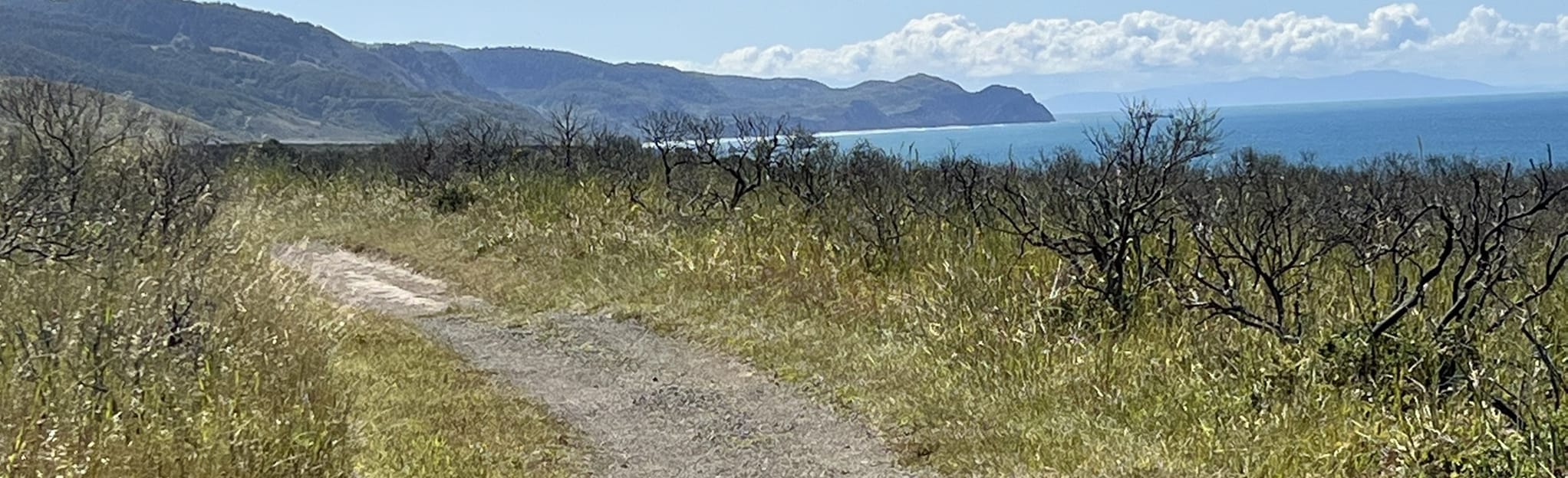 Muddy Hollow, Coast Trail, Sky Trail, Laguna Trail - California | AllTrails