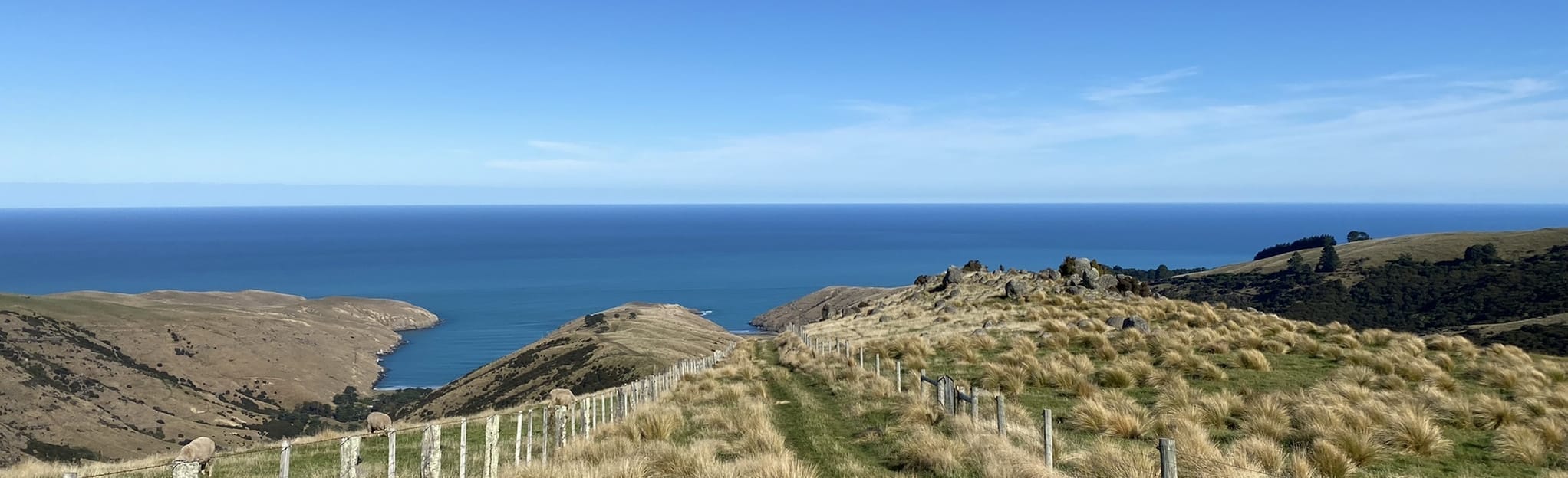 Te Oka Reserve Track, Canterbury, New Zealand - 8 Reviews, Map | AllTrails