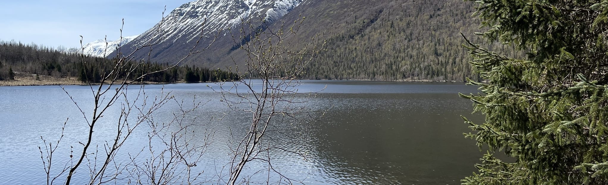 Russian Lakes Trail, Alaska - 62 Reviews, Map | AllTrails